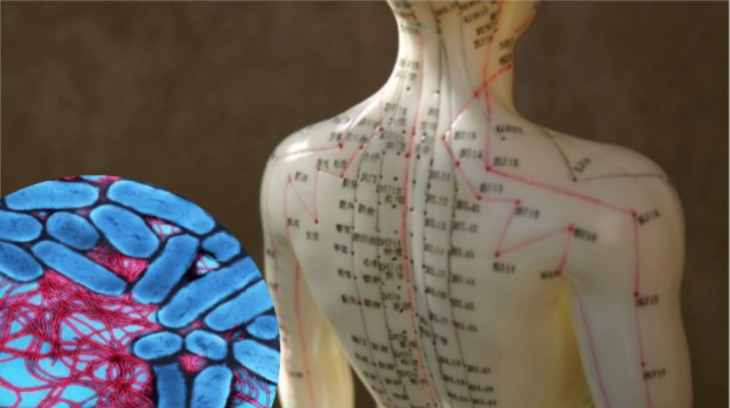 Working Group: Global Asian Health Humanities - Franklin Humanities ...